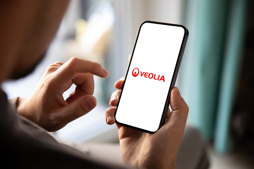 Plagas y enfermedades del aguacate